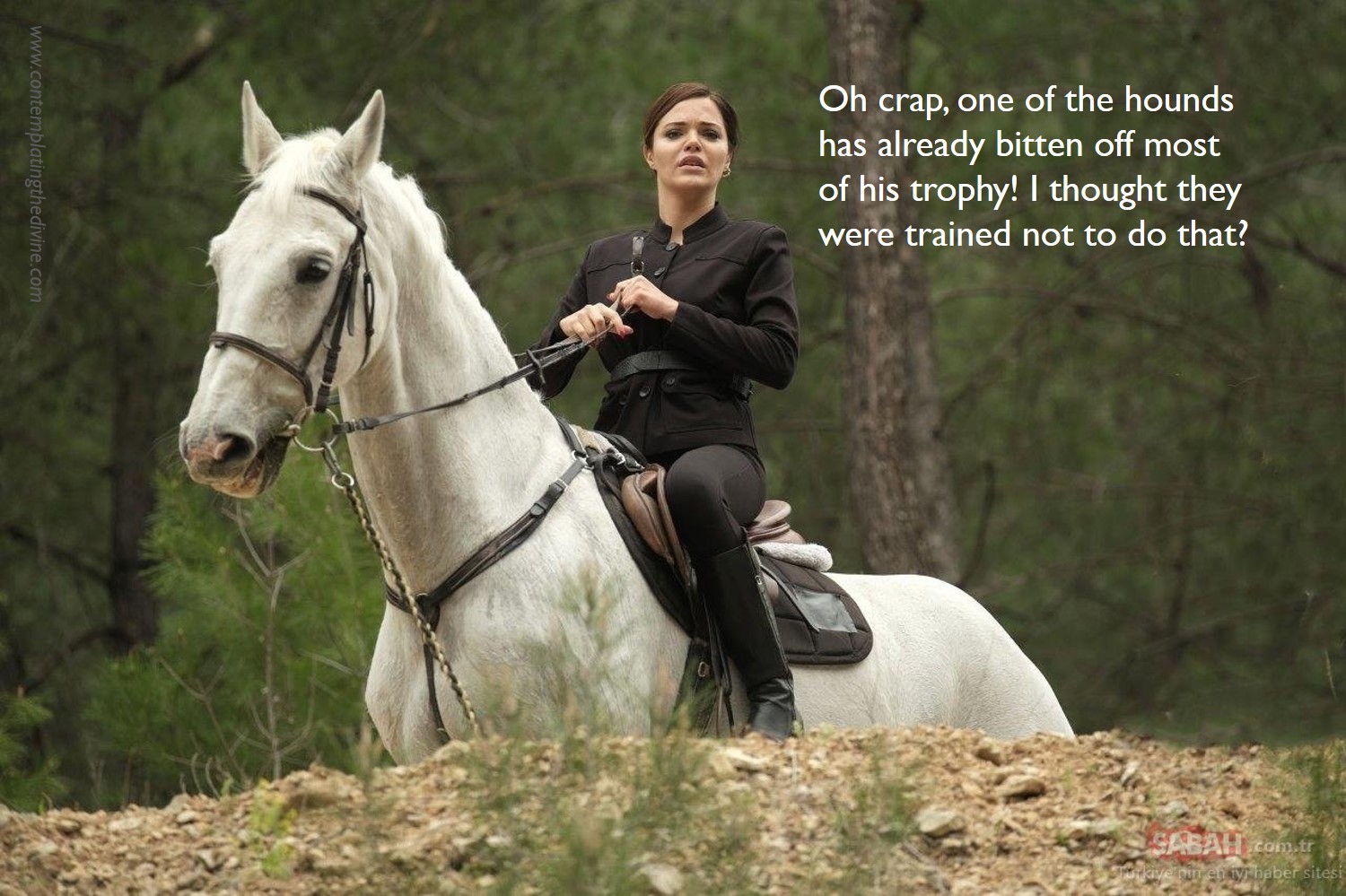 November 2023 – Contemplating the divine